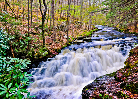 Permanent Vacation: 9 Reasons Why You Should Live in the Poconos