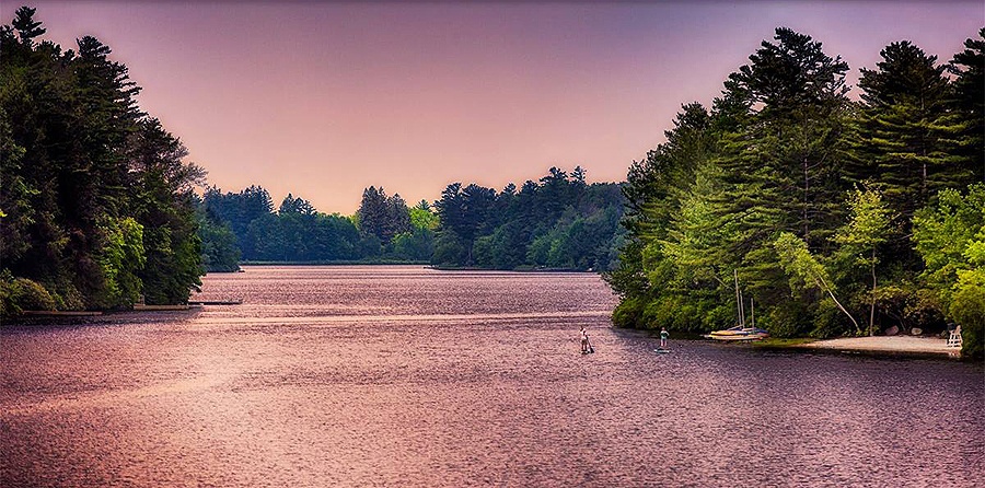 12 Photos That Will Blow You Away and Make Your Fall in Love with the ...